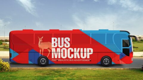 Blog - Know More About Transit Branding | BrandOnWheelz